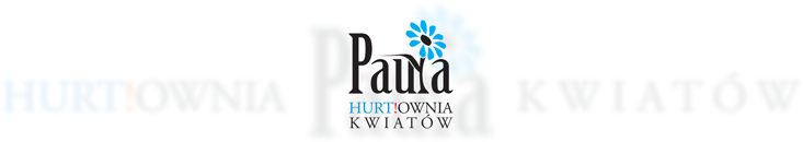 Kontakt - Hurtownia Kwiatów Paula
